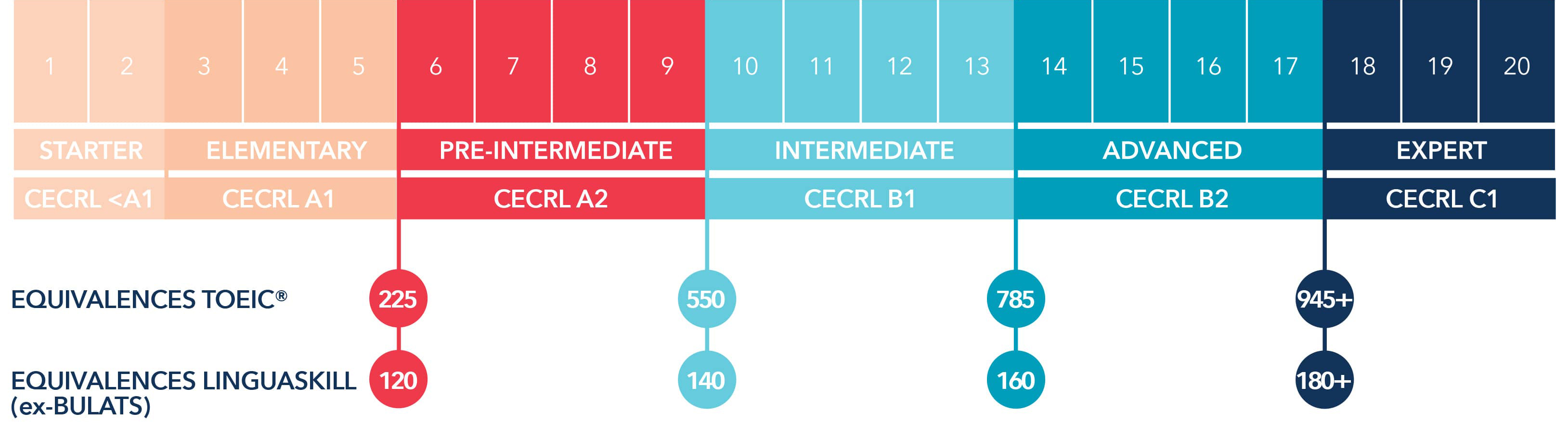 Les différents niveaux d’anglais CECRL : A1, A2, B1, B2, C1, C2