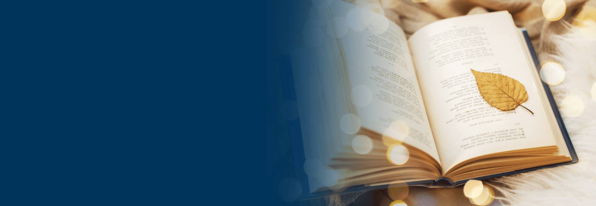 Les 5 plus beaux poèmes en anglais